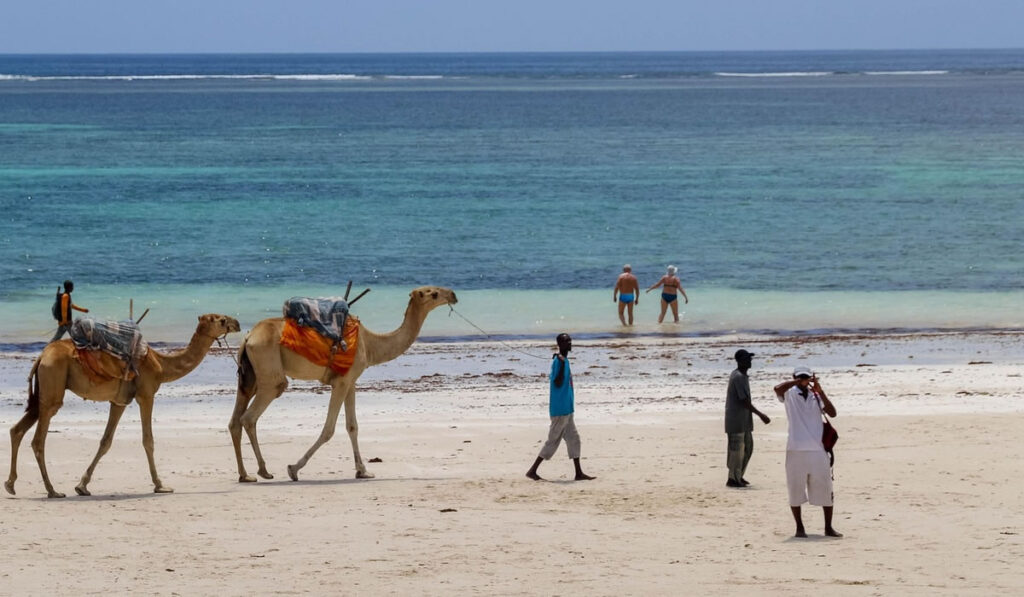 12 Days Kenya Safari and Beach Holiday - Unique Africa Tours